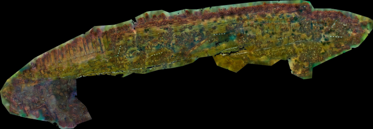 Exploring the Digitally Preserved HMS Buffalo Shipwreck - Coromind