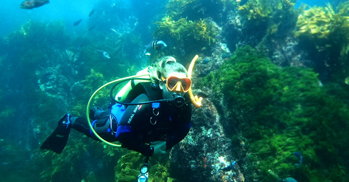 Dive Zone Whitianga – Your Passport to Underwater Adventures and Career ...