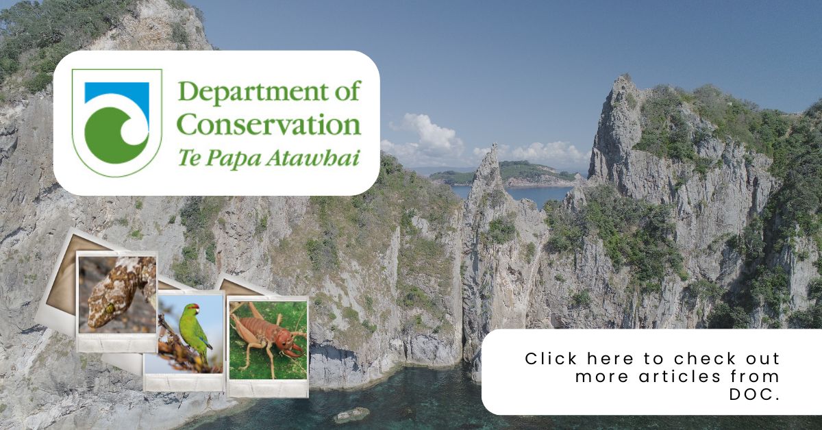 Conservation Week 2025 – Brought to you by the Department of ...